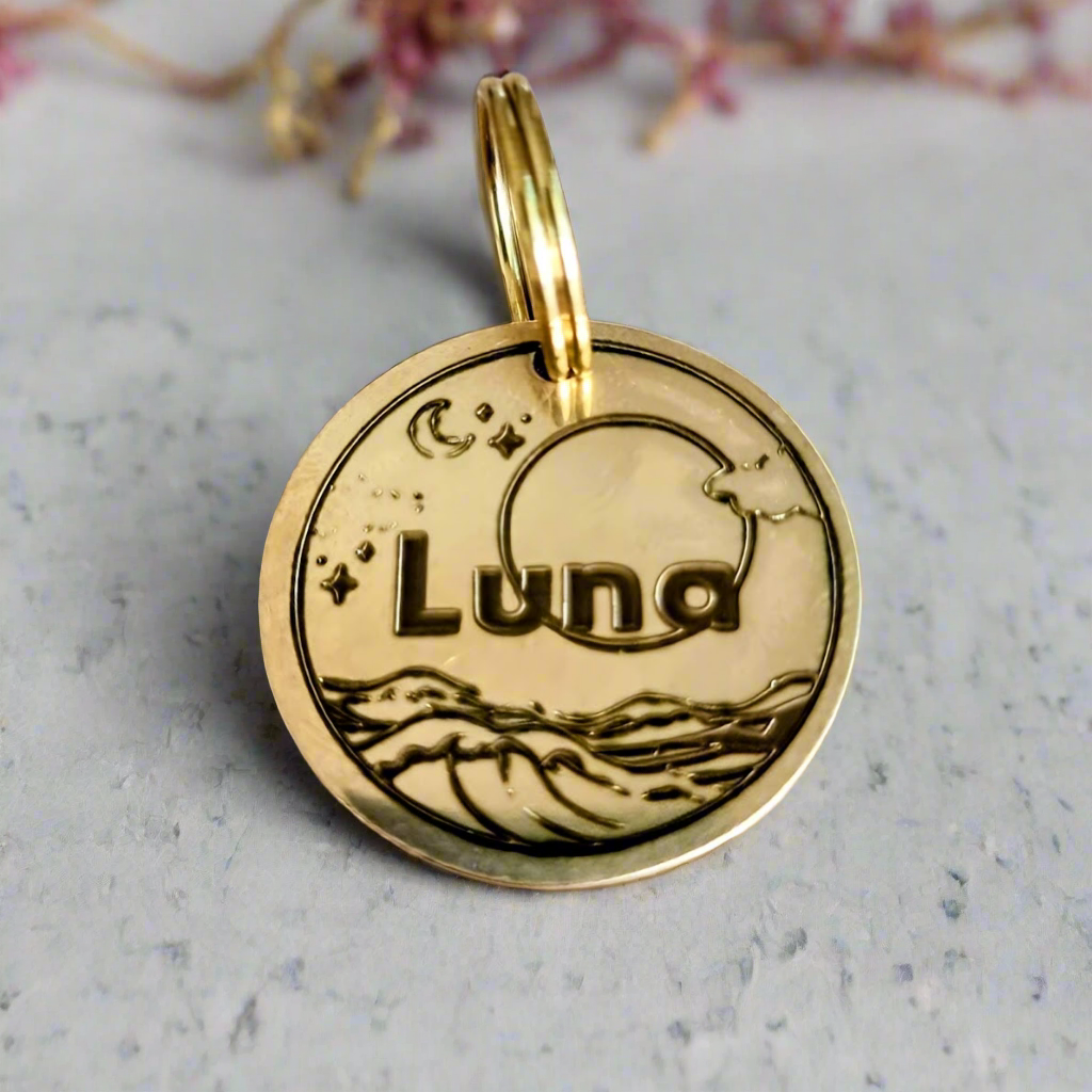 Luna Pet ID Tag – Brass, Silver, Rose Gold & Black | Moon & Ocean ...