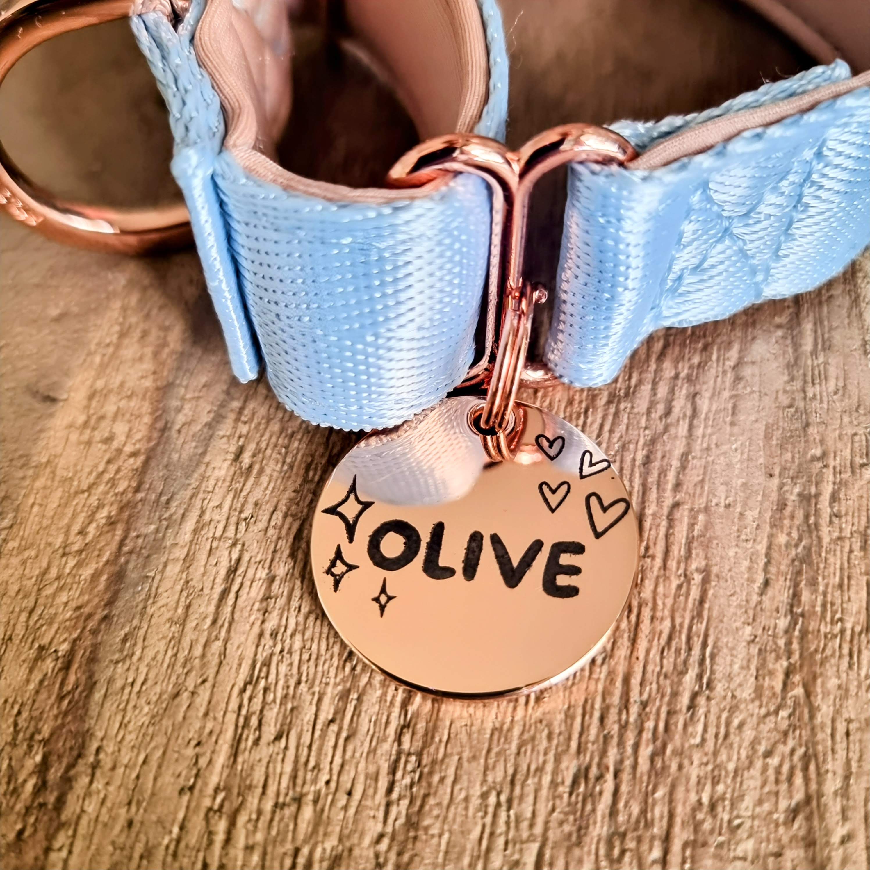 Sparkle Pet Identification tag - Pretty dog name tag – Fido Creative